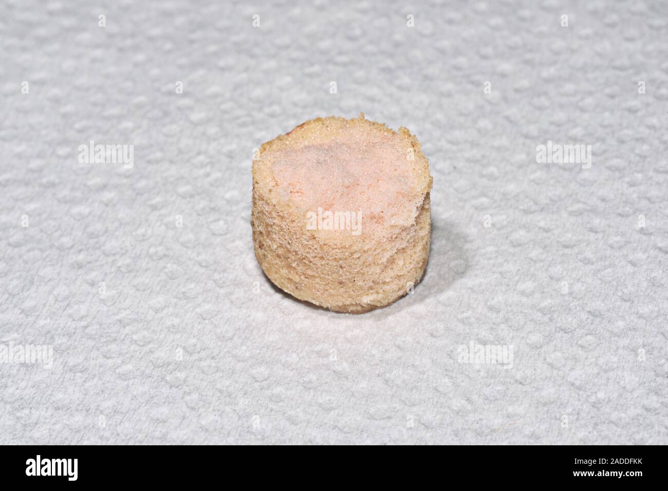 Broken ear plug removed from an ear. Part of this foam ear plug had ...