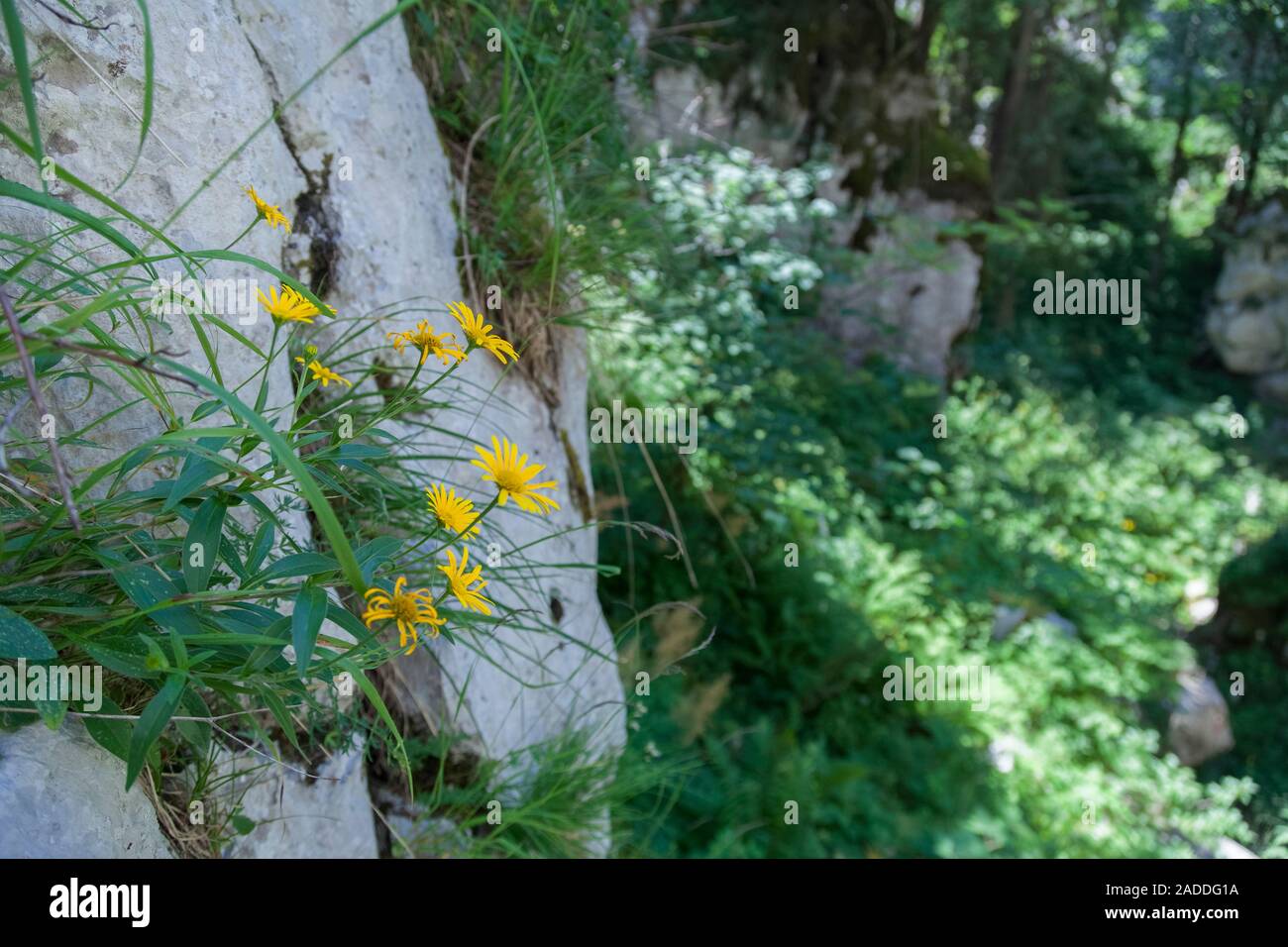 Bijele stijene mountains and nature reserve in Croatia Stock Photo - Alamy