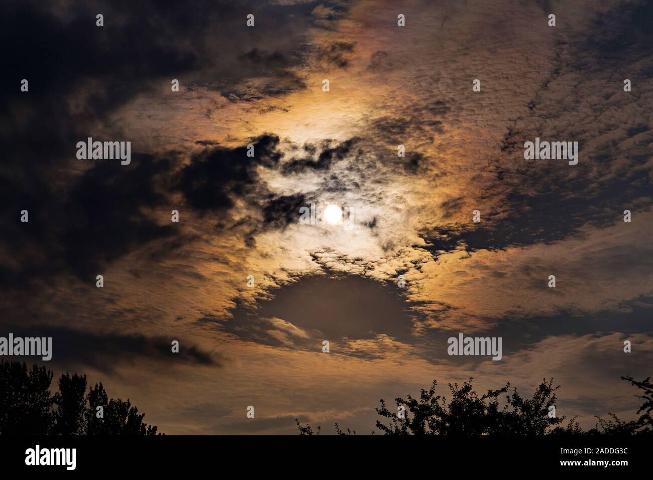 Optical effect solar corona in an even layer of altocumulus cloud ...