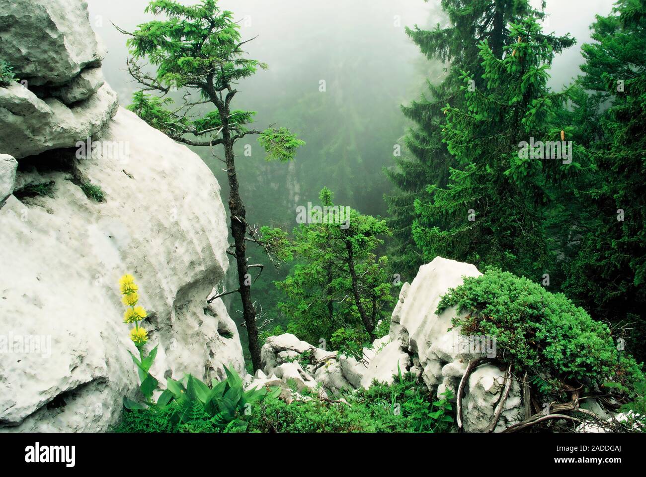 Bijele stijene mountains and nature reserve in Croatia Stock Photo - Alamy