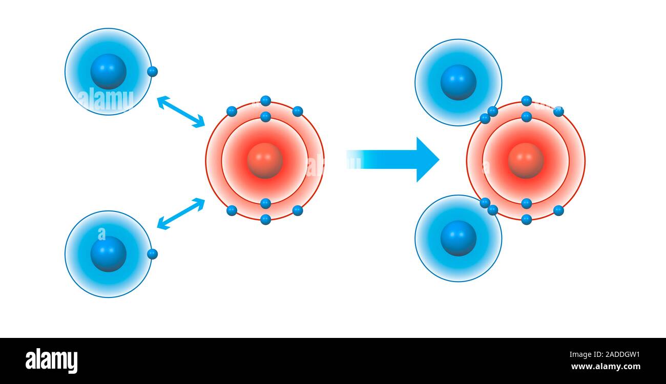 Bond formation in water molecule. Illustration of the sharing of ...
