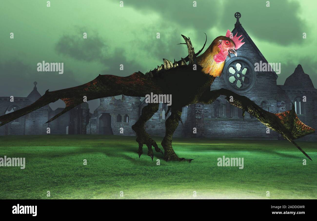 Cockatrice, illustration. A cockatrice is a mythological creature ...