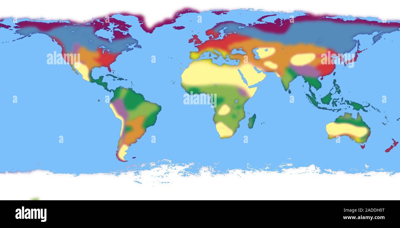 Earth's biomes, illustration. Terrestrial biomes (also called ...