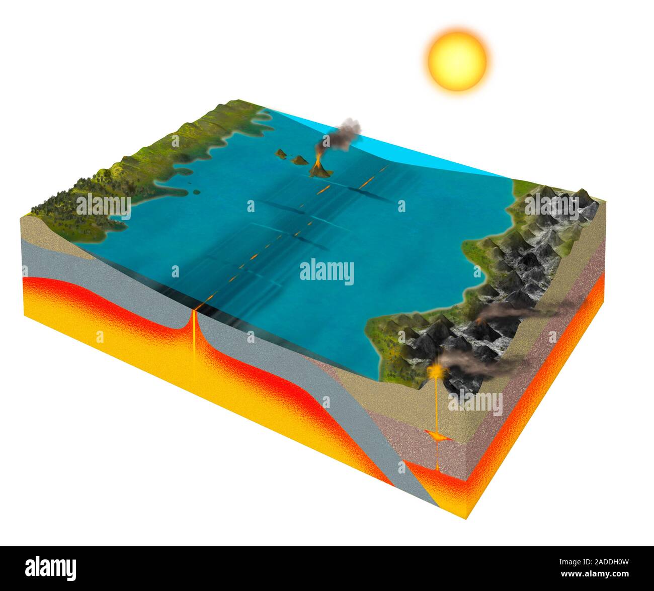 Natural carbon cycle. Diagram illustrating the natural processes that ...