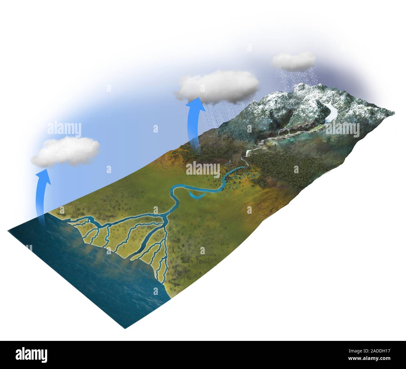 River system. Illustration showing the course of a river from the ...