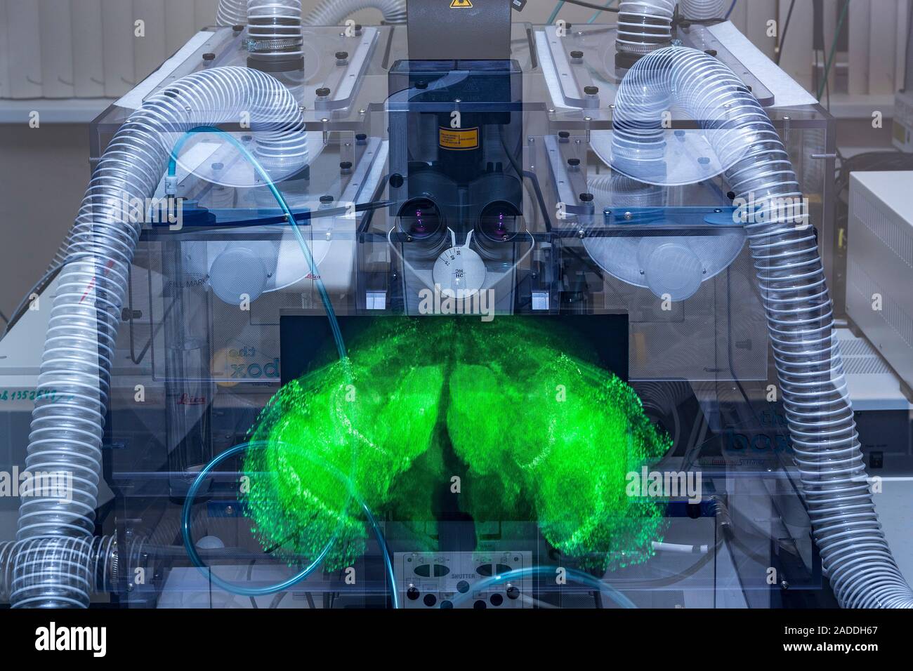 Confocal microscopy, abstract image. Confocal microscope with an image ...