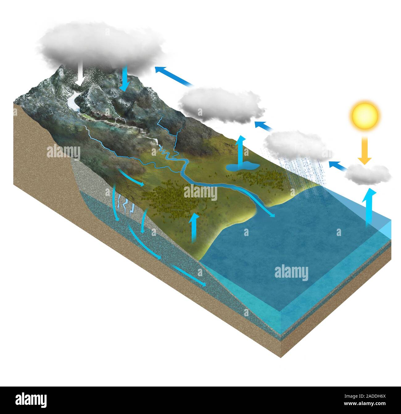 Water cycle, illustration. The natural water cycle (or hydrologic cycle ...
