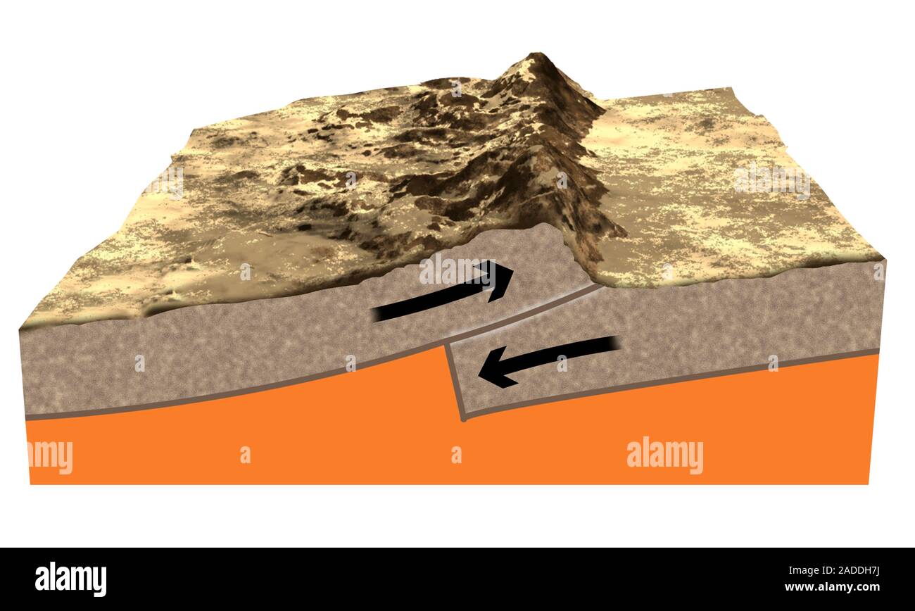 Convergent tectonic plate boundary. Diagram showing a tectonic plate ...