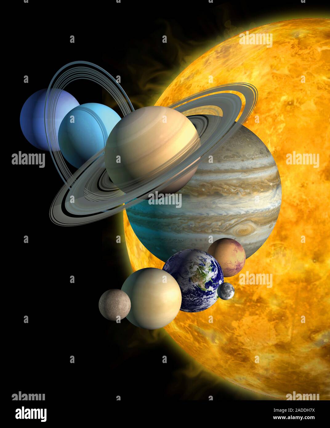 Sun and its planets. Illustration of the Sun and the eight planets that ...