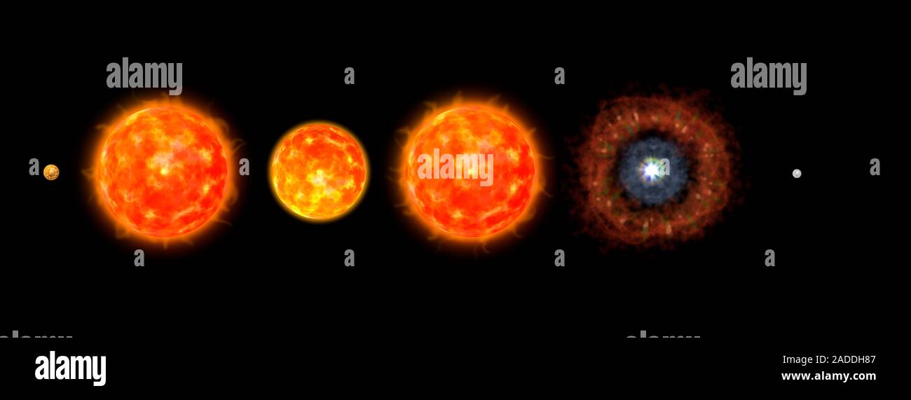 Evolution of a red giant star, illustration. Red giant stars are much ...