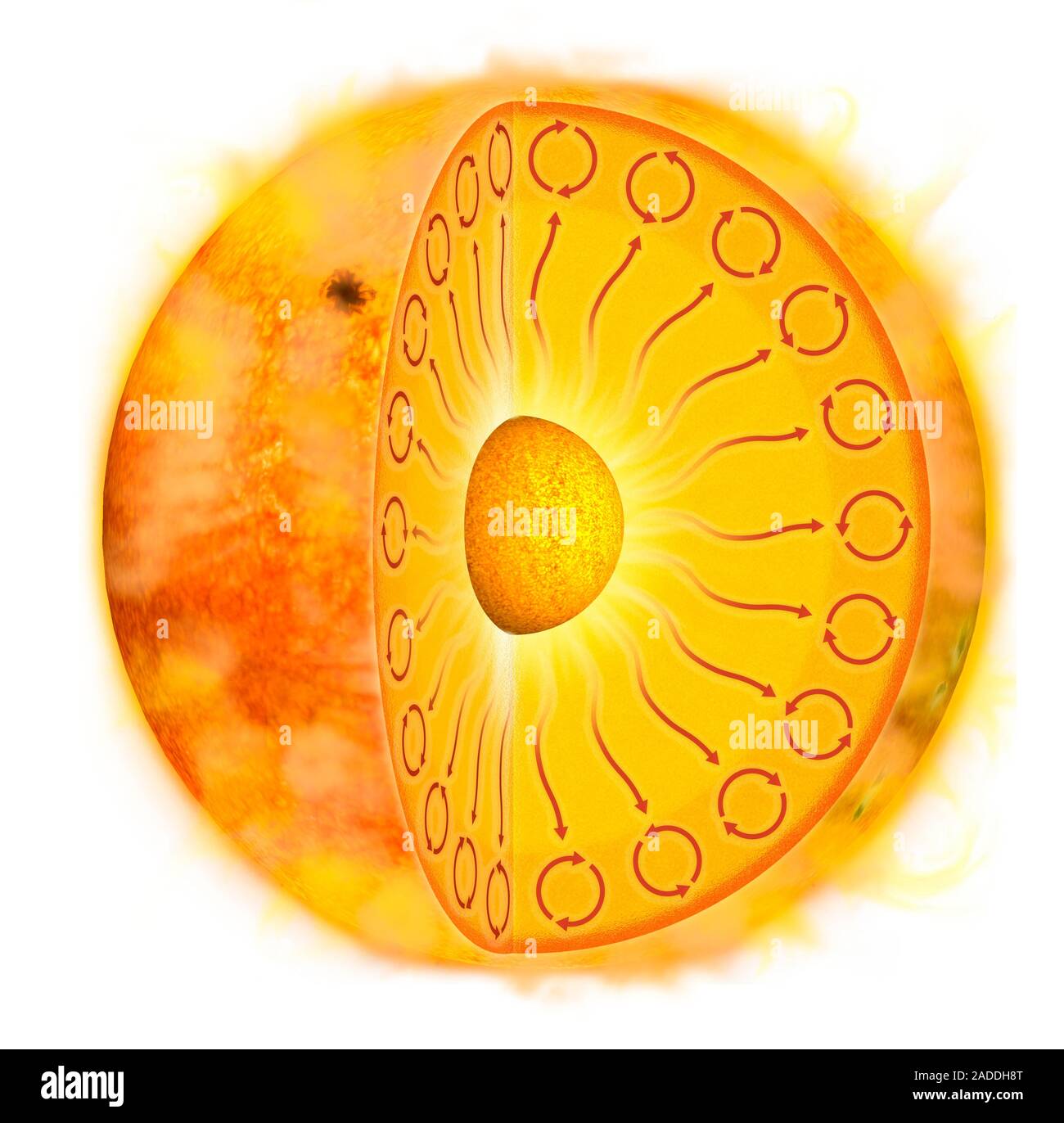 Nuclear Fusion Sun