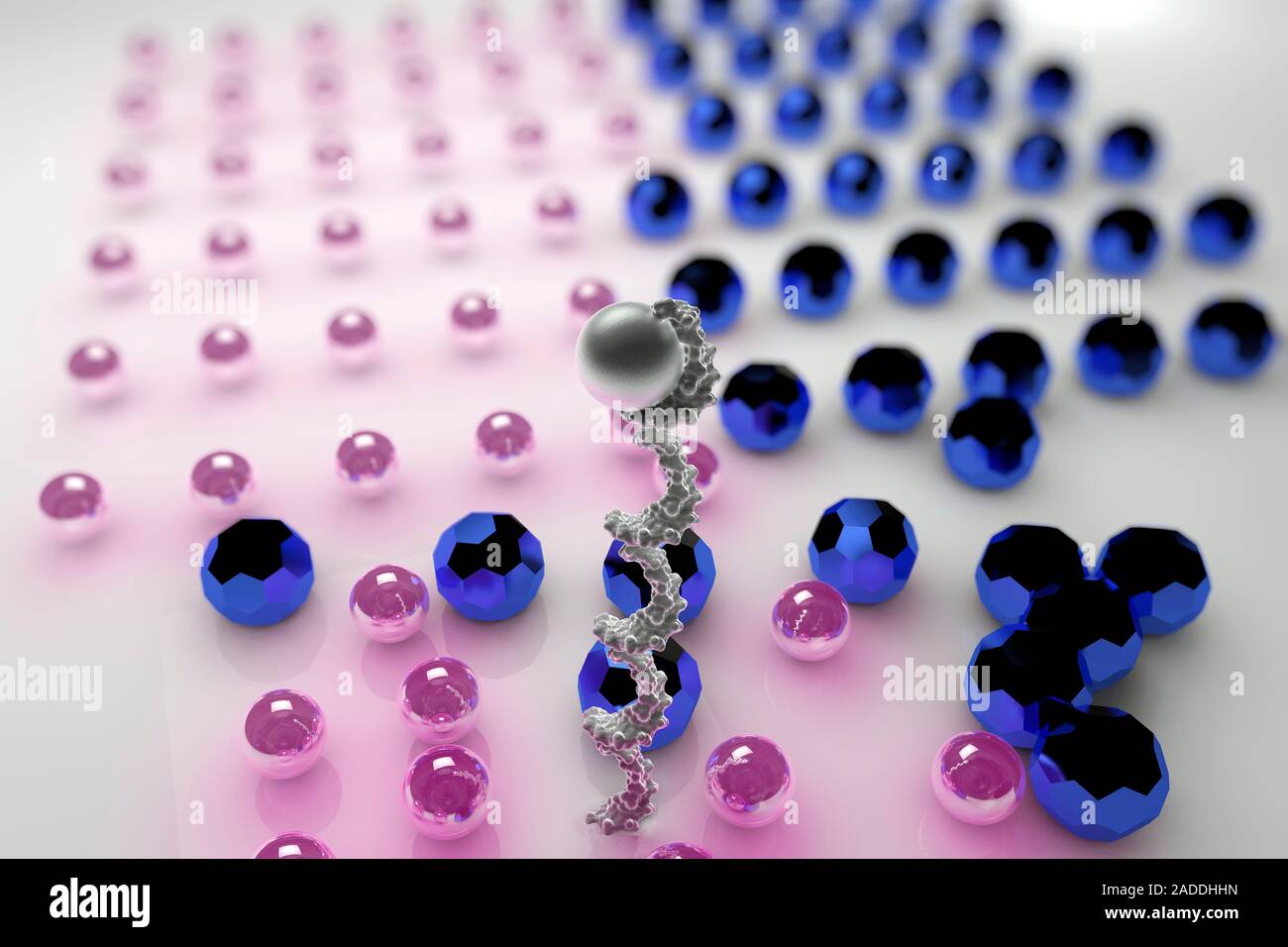 DNA drug delivery nanotechnology, illustration. Strand of DNA ...