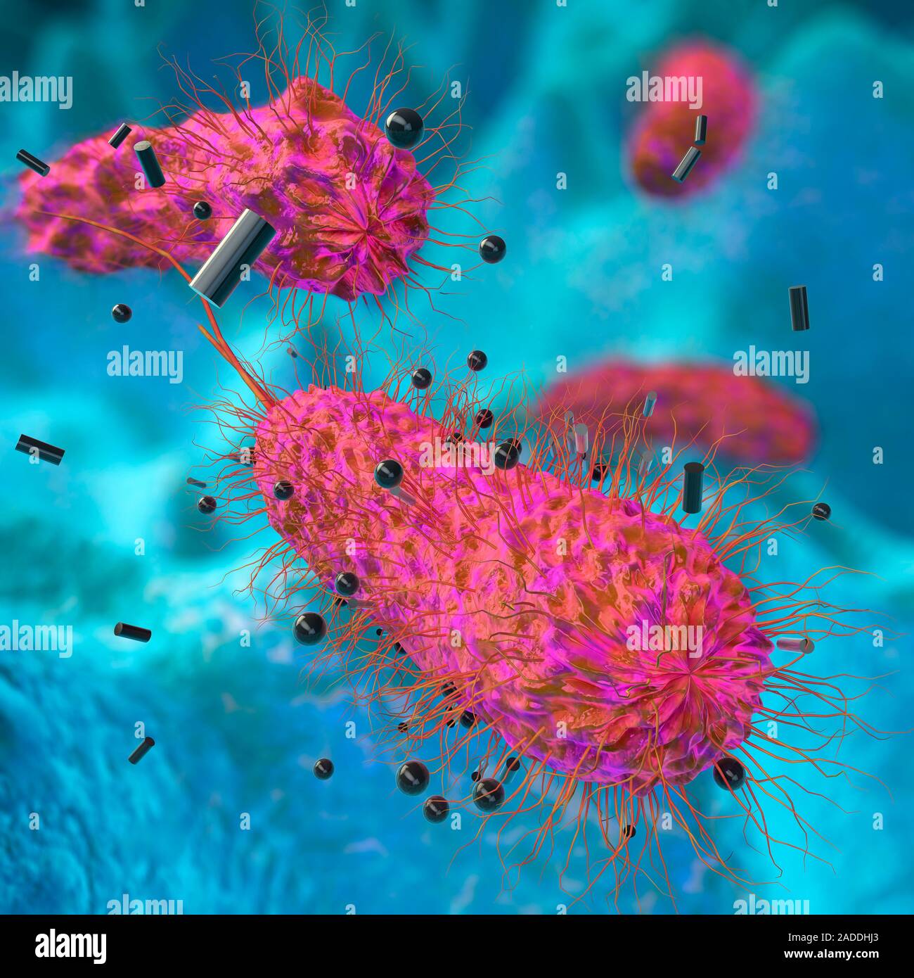 E. coli bacterium and nanoparticles. Illustration of metal ...
