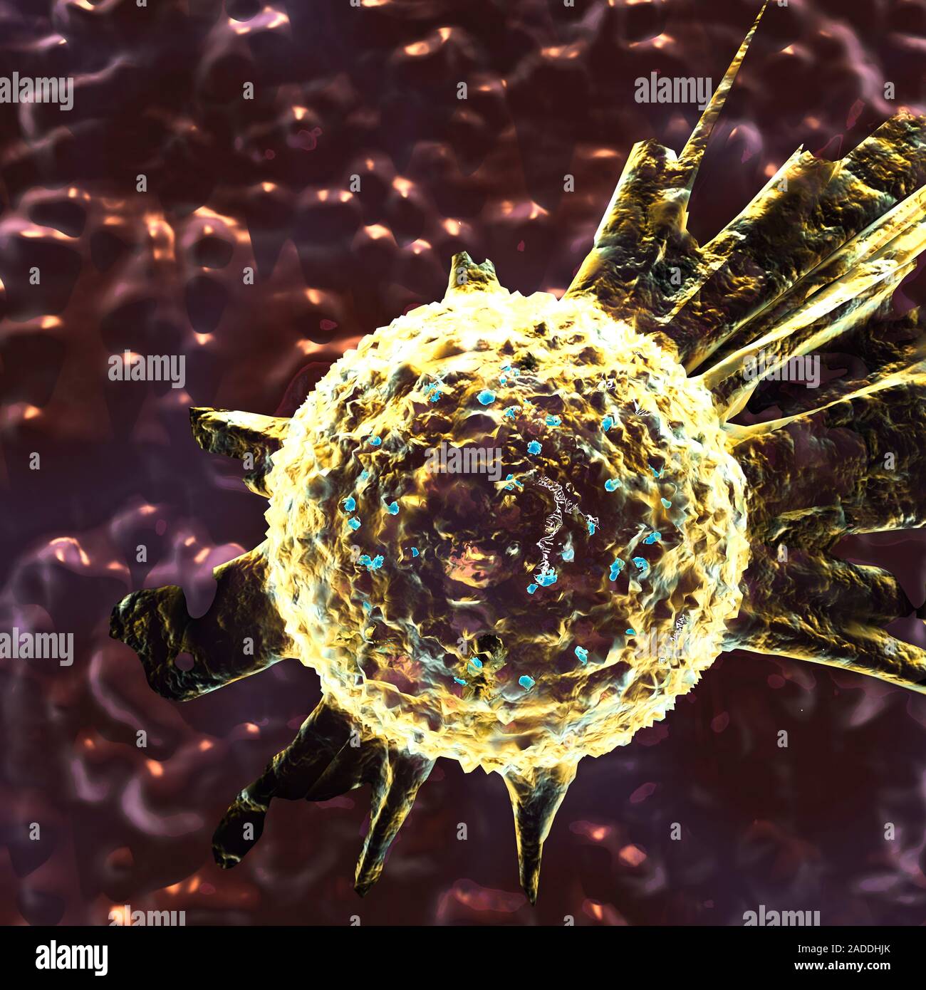 Nanoparticle cancer treatment, illustration. Cancer cell being targeted ...