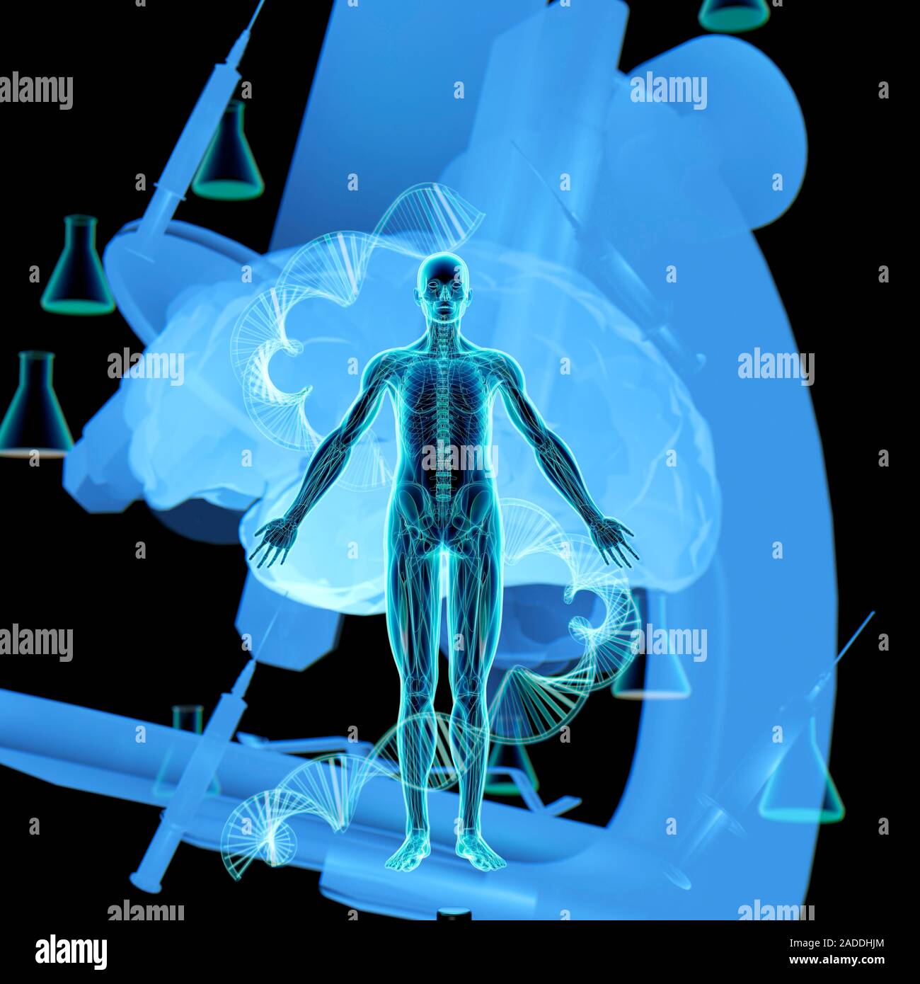 Genetic engineering. Conceptual illustration of a human figure and a ...