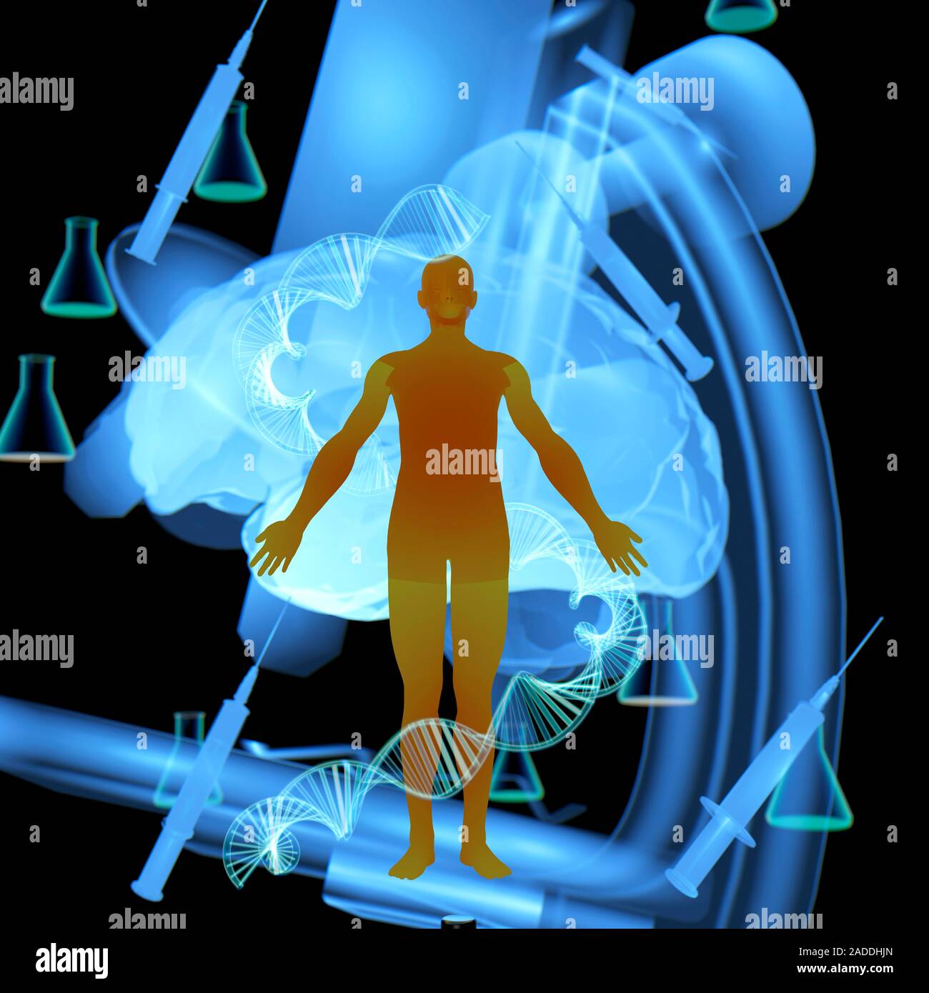 Genetic engineering. Conceptual illustration of a human figure and a ...