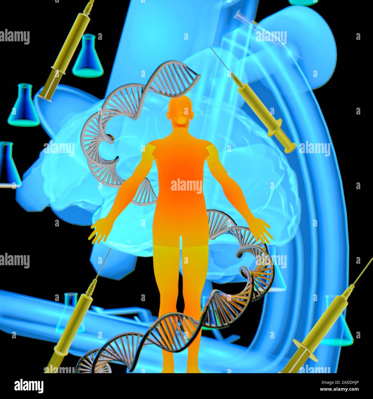 Genetic engineering. Conceptual illustration of a human figure and a ...