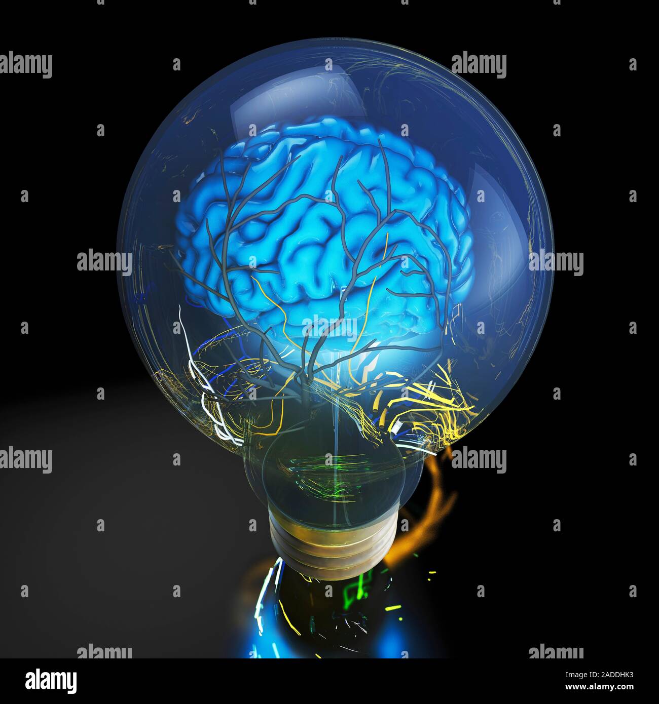 Brain power and light bulb. Conceptual image of a brain in a light bulb ...