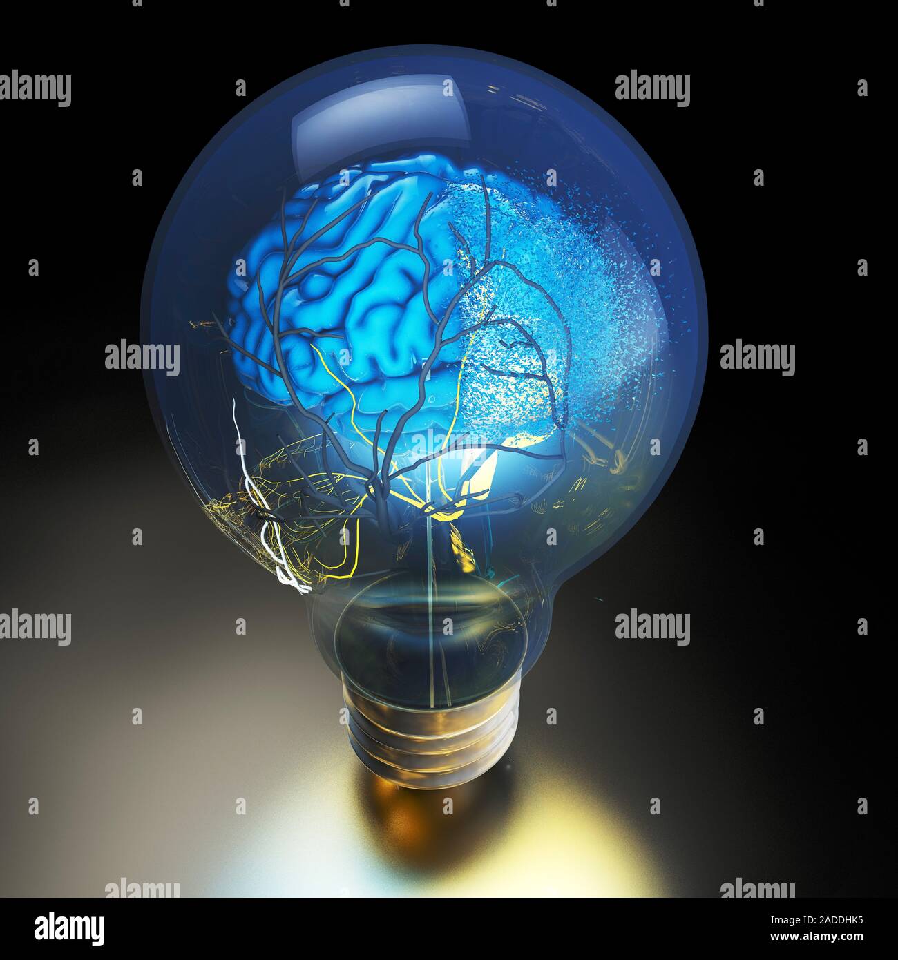 Brain power and light bulb. Conceptual image of a brain in a light bulb ...