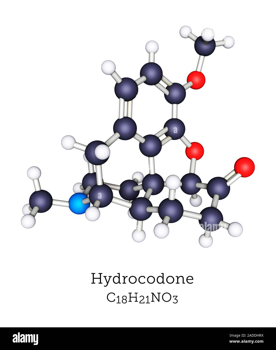 Hydrocodone is a semi-synthetic opioid made from codeine. The compound ...