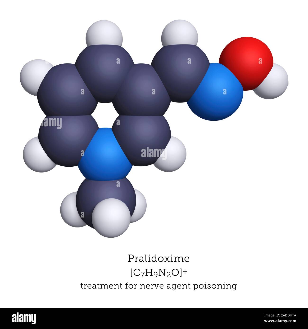 Pralidoxime is used to treat poisoning by acetylcholinesterase ...