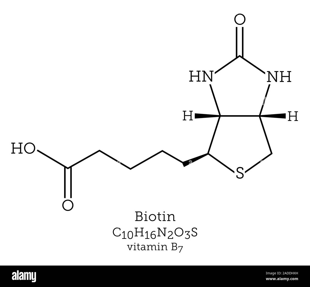 Biotin, vitamin B7, is a cofactor for several carboxylase enzymes ...