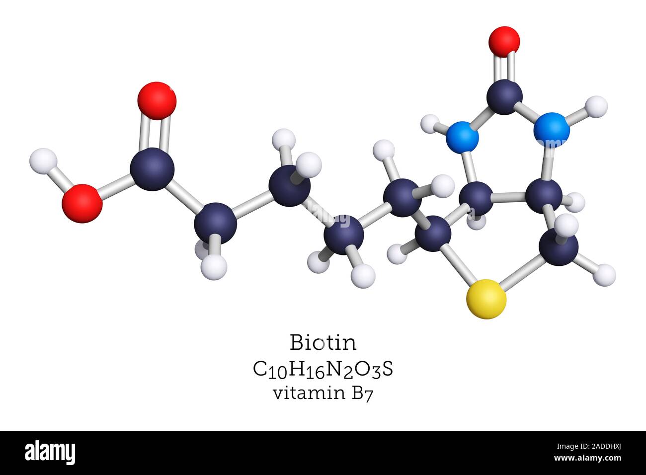 Biotin, vitamin B7, is a cofactor for several carboxylase enzymes ...