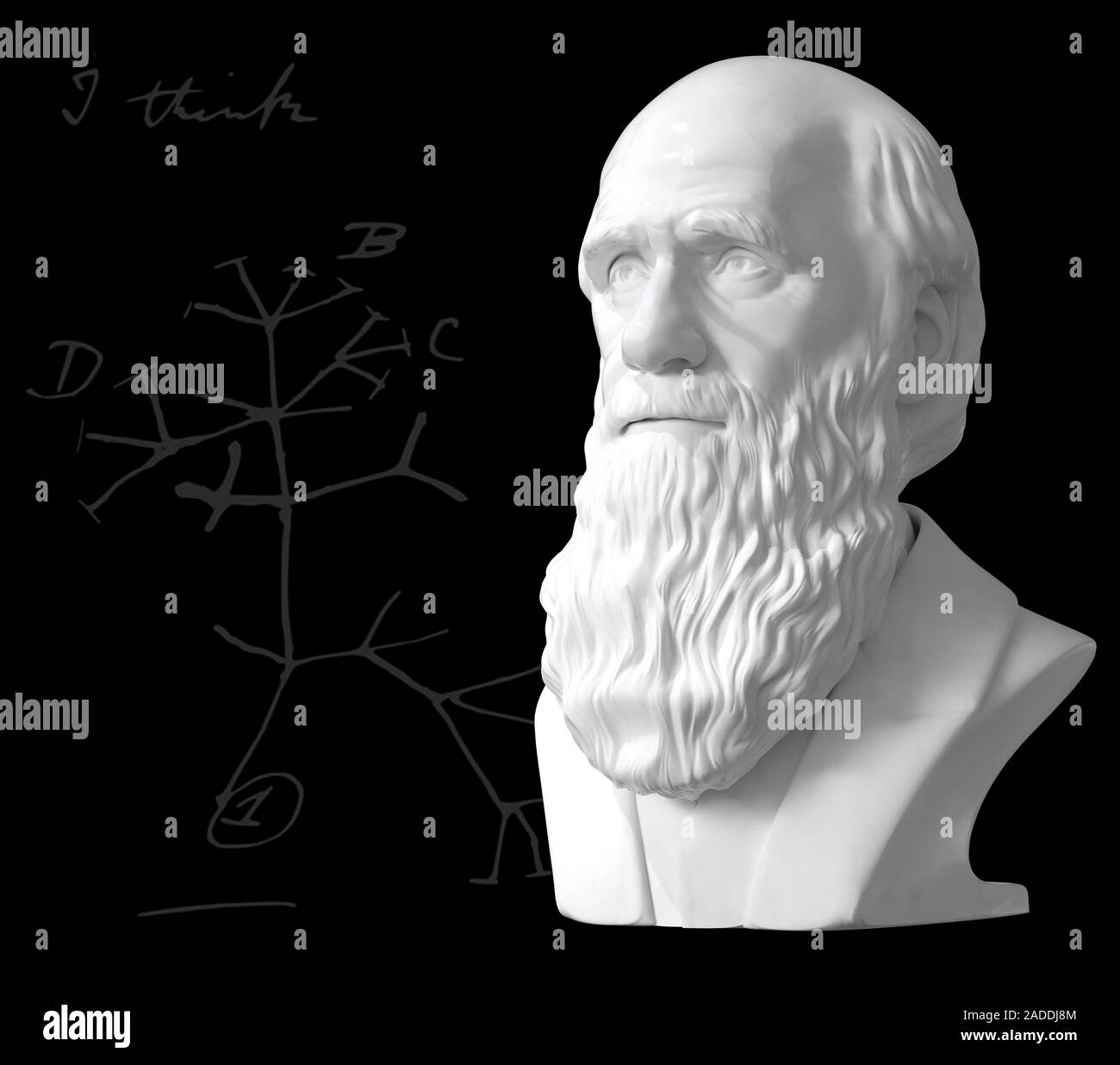 Charles Robert Darwin (1809-1882), British naturalist. Illustration of ...