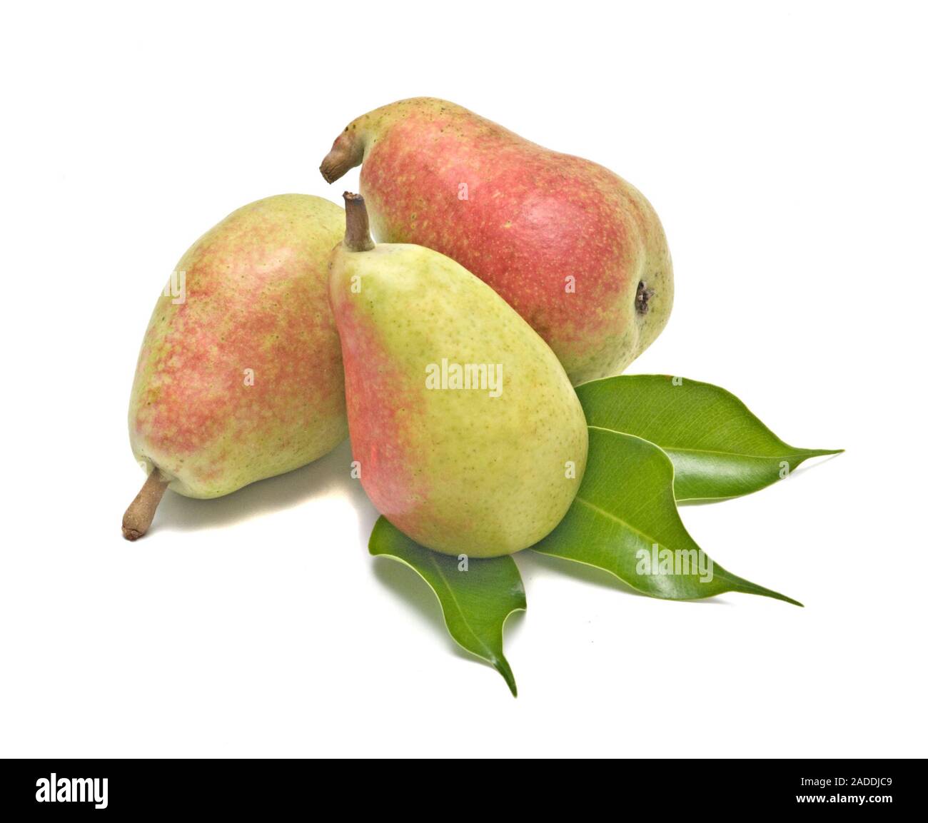 Three pears isolated on white background Stock Photo - Alamy