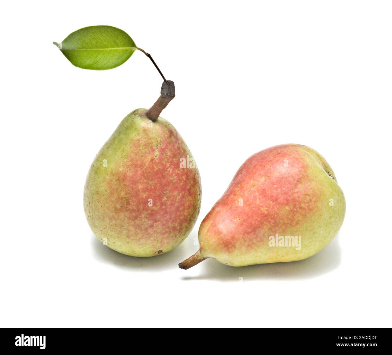 Two pears isolated on white background Stock Photo - Alamy