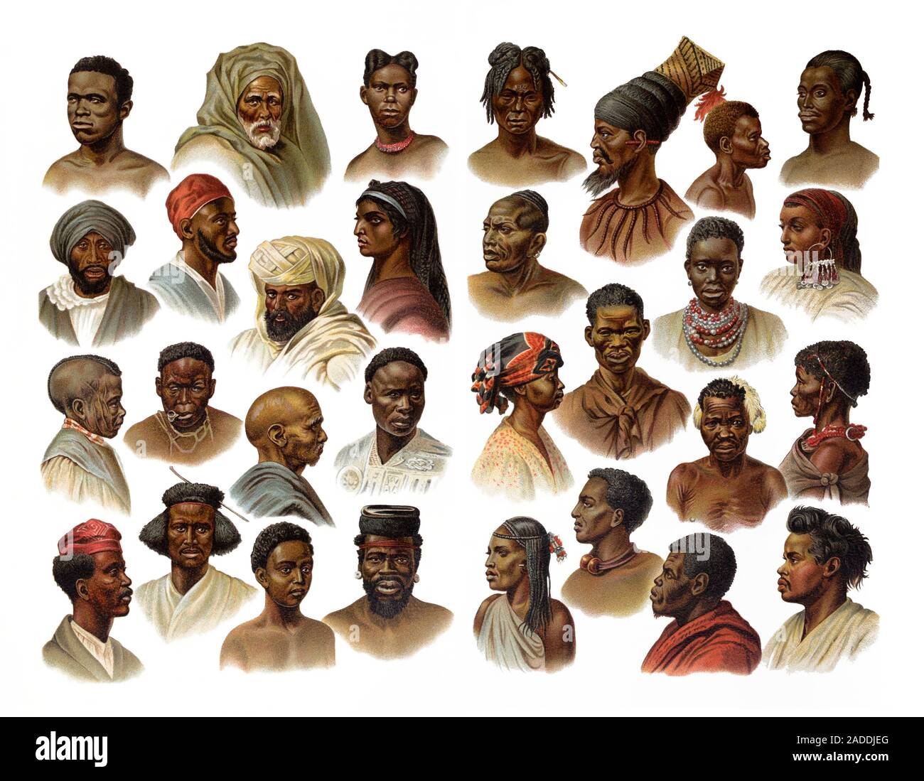 African peoples. Illustration showing people of diverse ethnicities and ...
