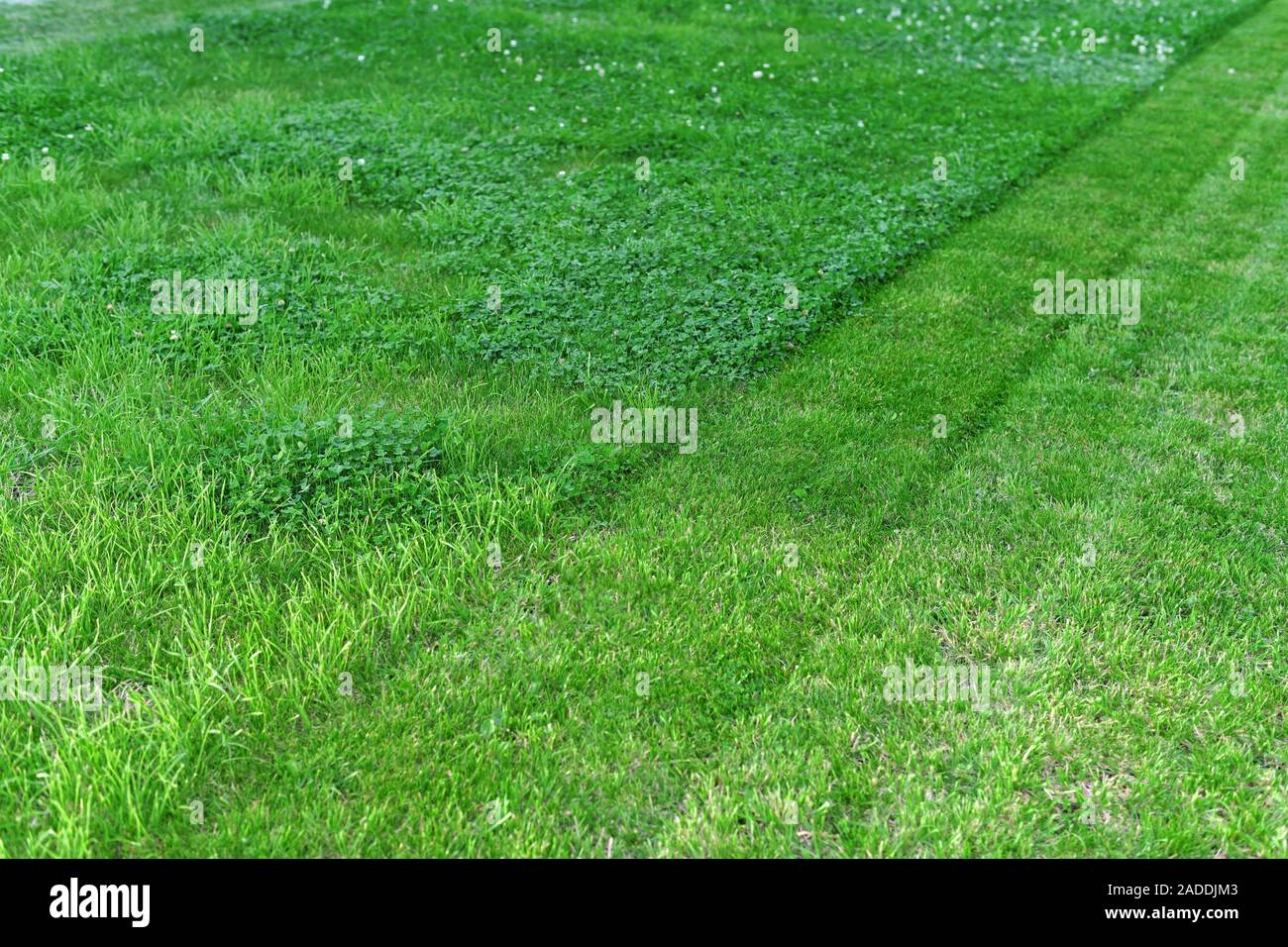 Half mowed hi-res stock photography and images - Alamy