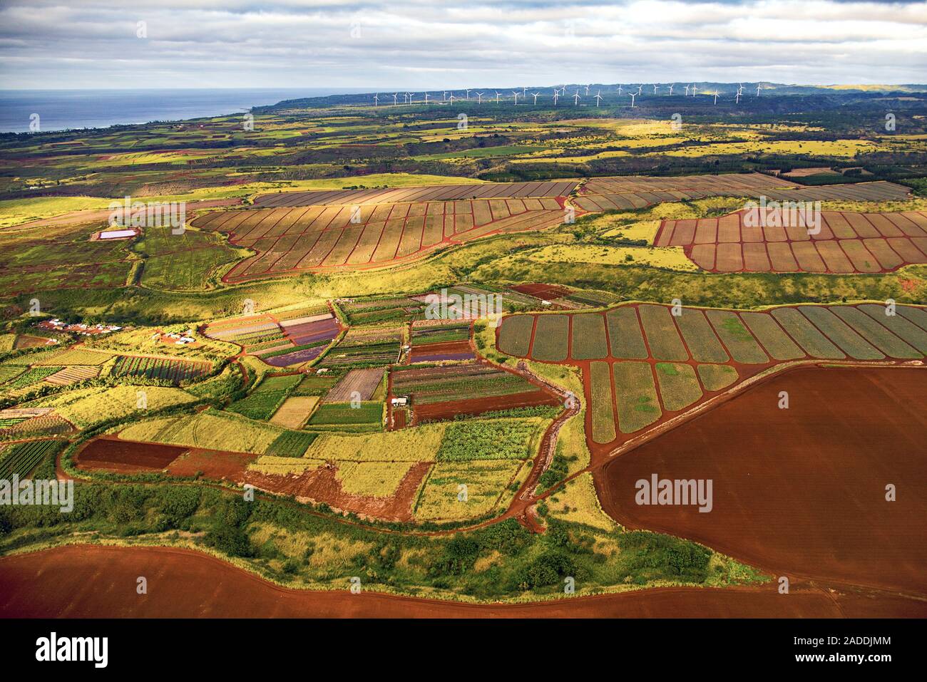 Agricultural landscape in Hawaii, aerial photograph. In the distance ...