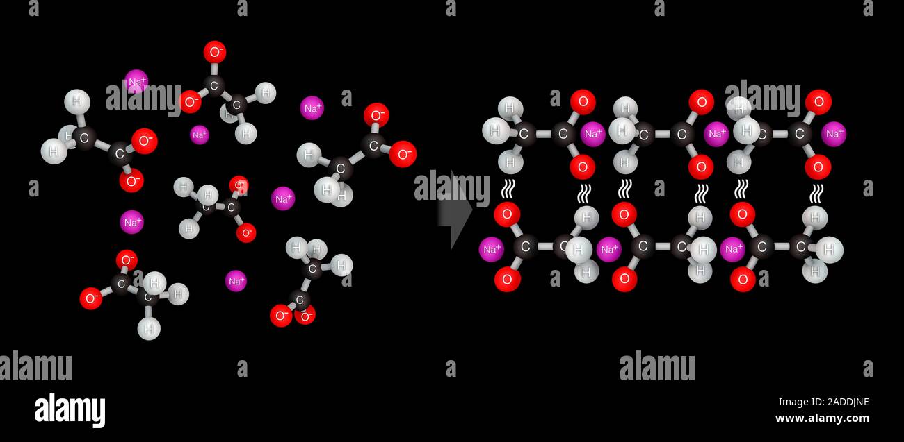 Sodium acetate. Molecular models of sodium acetate dissolved in water ...