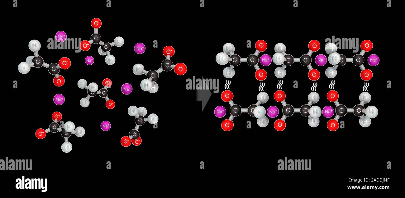 Sodium acetate. Molecular models of sodium acetate dissolved in water ...