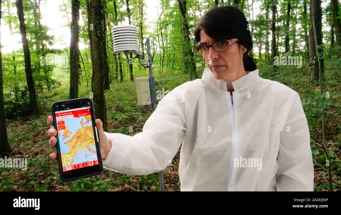 Climate epidemiology research. Climate epidemiologist with a smartphone ...