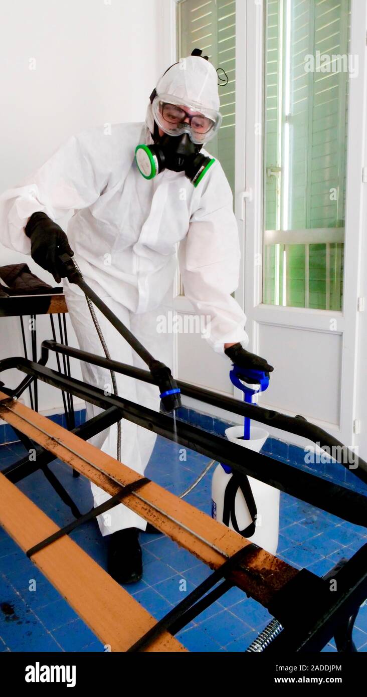 Bed Bug Infestation Pest Control Pest Controller Using Chemicals To