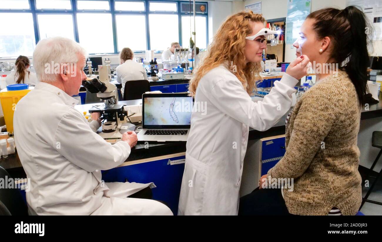 Hair follicle mite research. Irish researcher Kevin Kavanagh (left) and ...