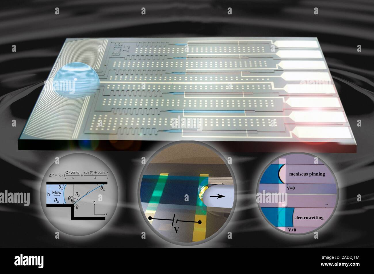 Electrogates microfluidics research, illustration. Electrogates (e ...