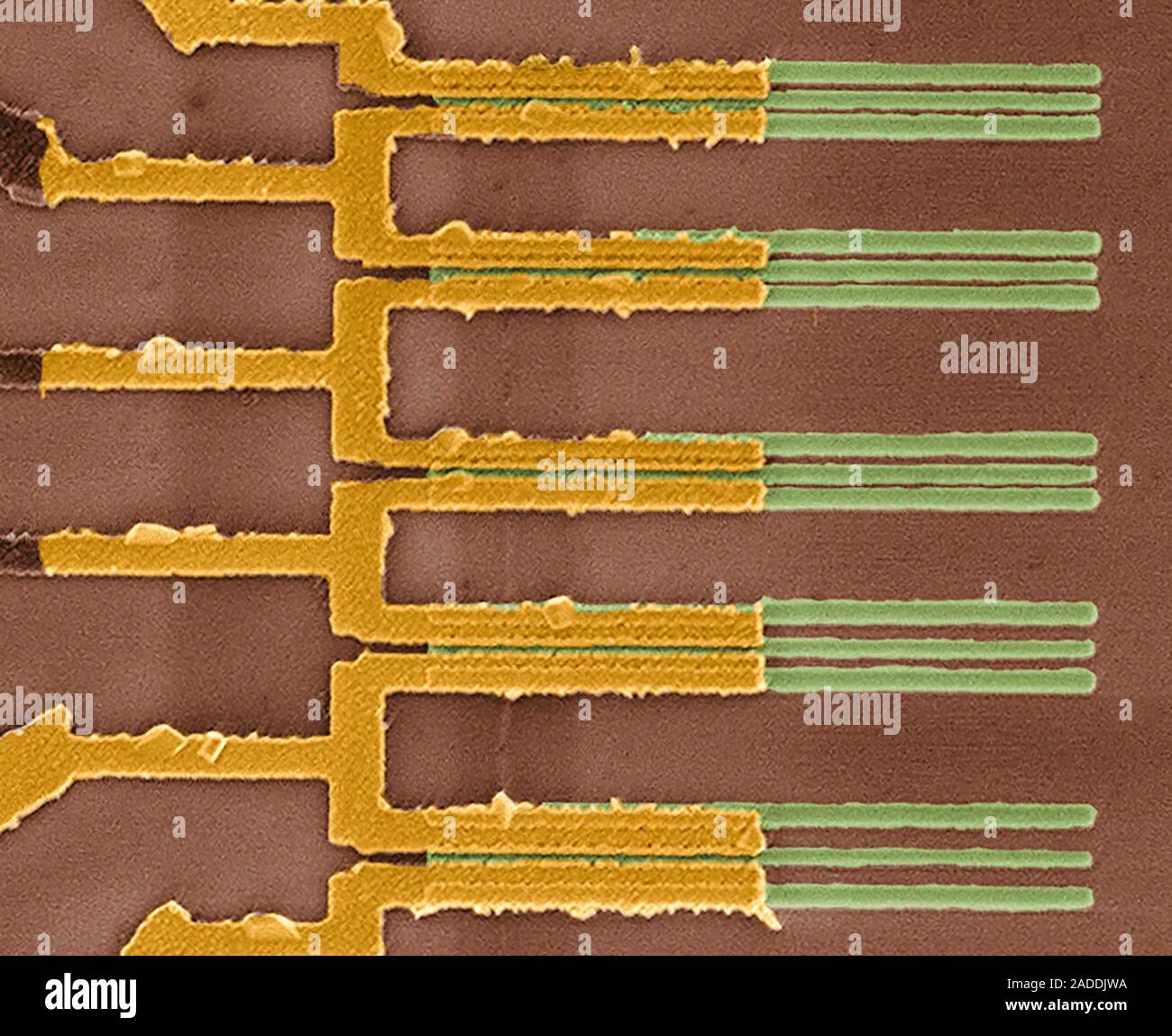 Carbon nanotube transistor contacts, coloured scanning electron ...