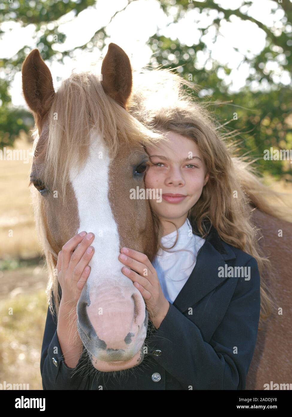 A girl and her cute chestnut pony in the summer Stock Photo - Alamy