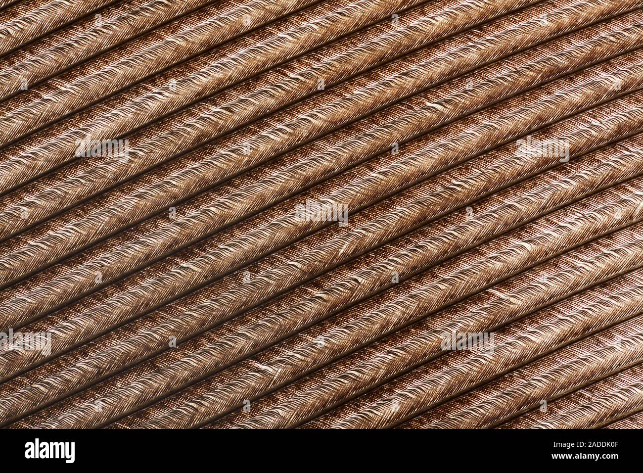 Bird feather, macrophotograph. Magnification x10 at 35 mm Stock Photo ...