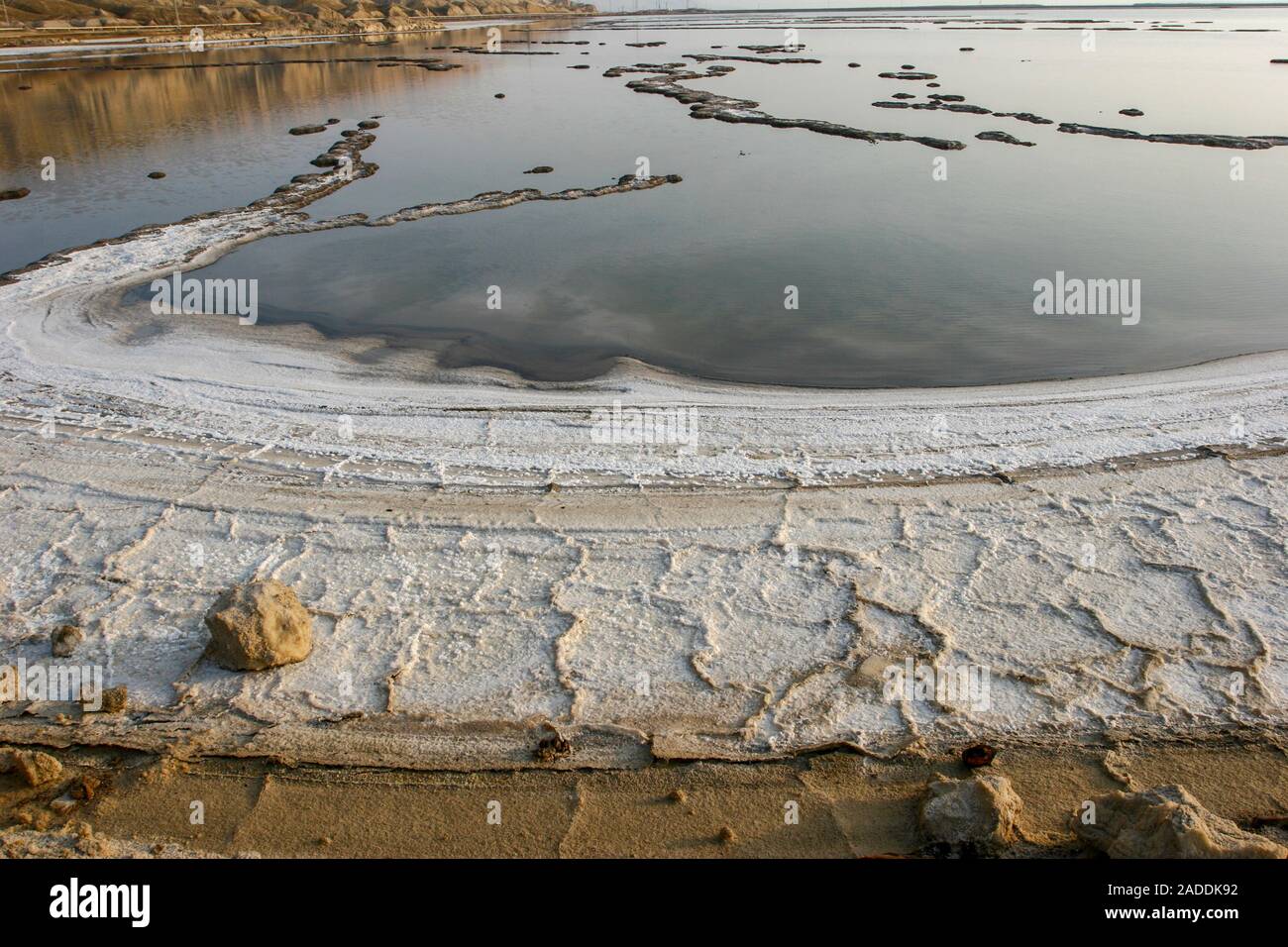 Salt formation on the shore of the Dead Sea, Israel Stock Photo - Alamy