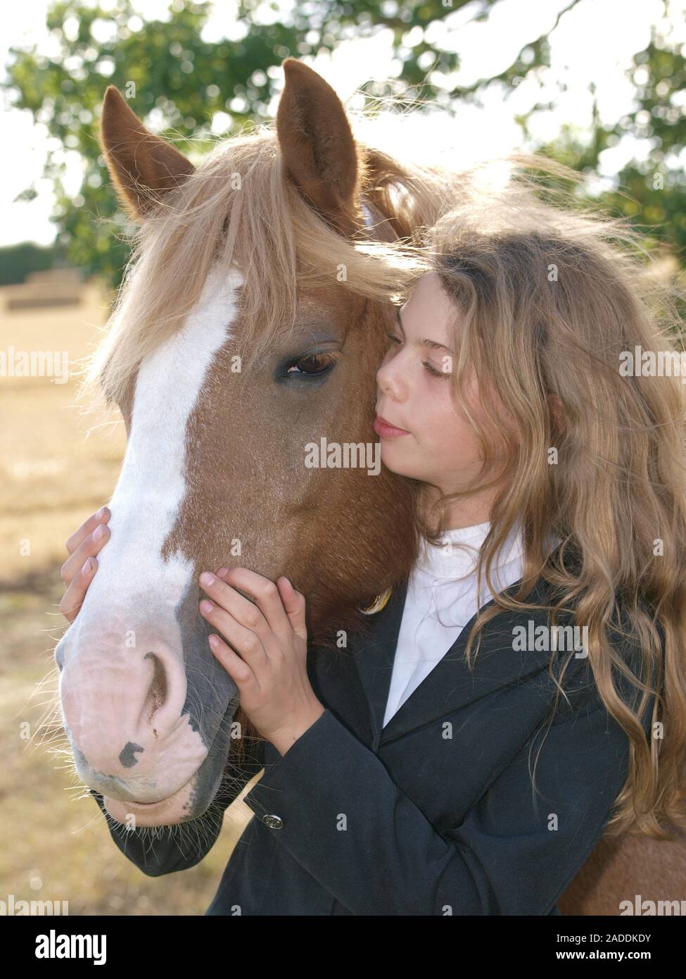 A girl and her cute chestnut pony in the summer Stock Photo - Alamy