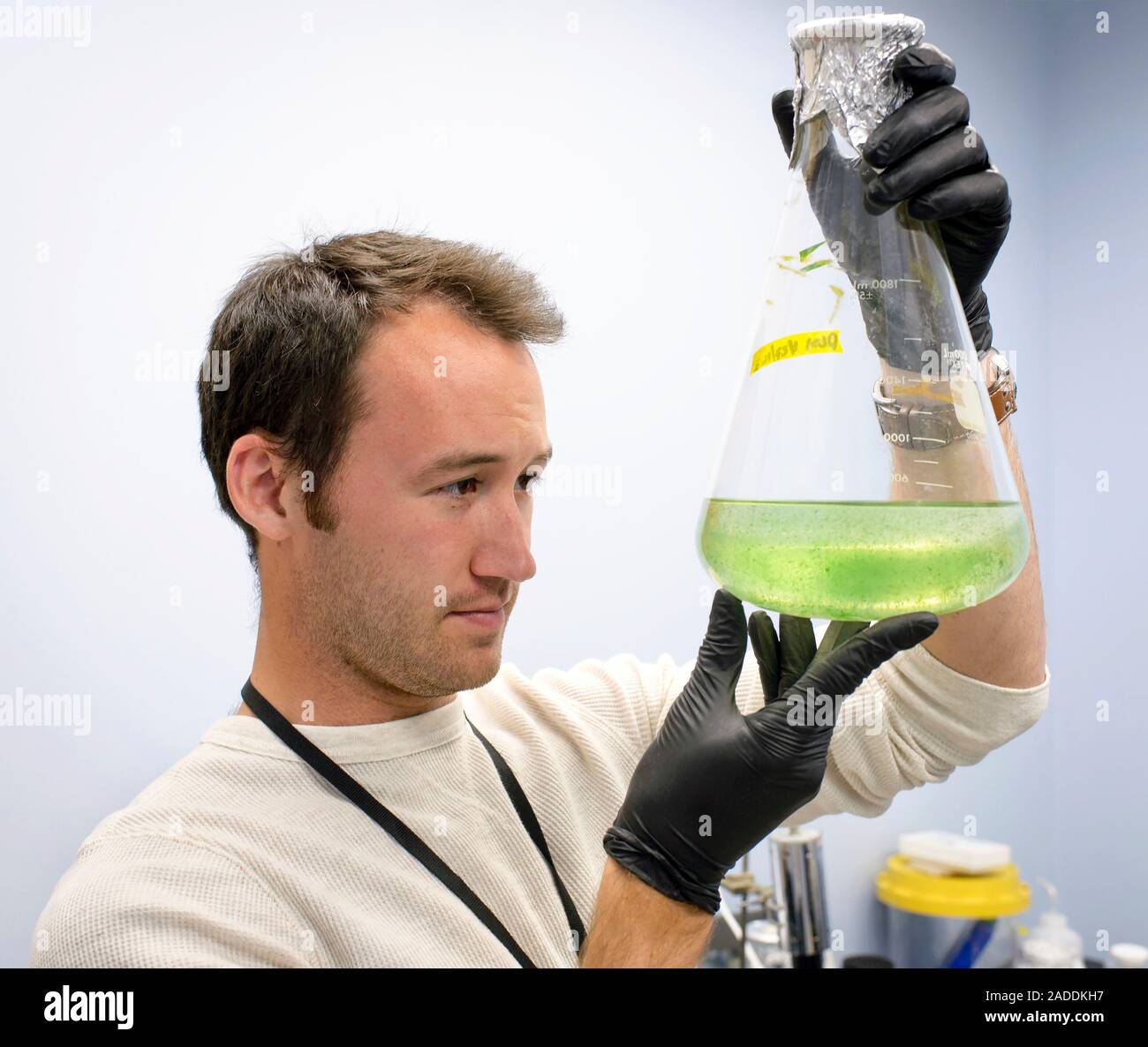 EuCROPIS power cell research. NASA researcher Griffin McCutcheon with a ...