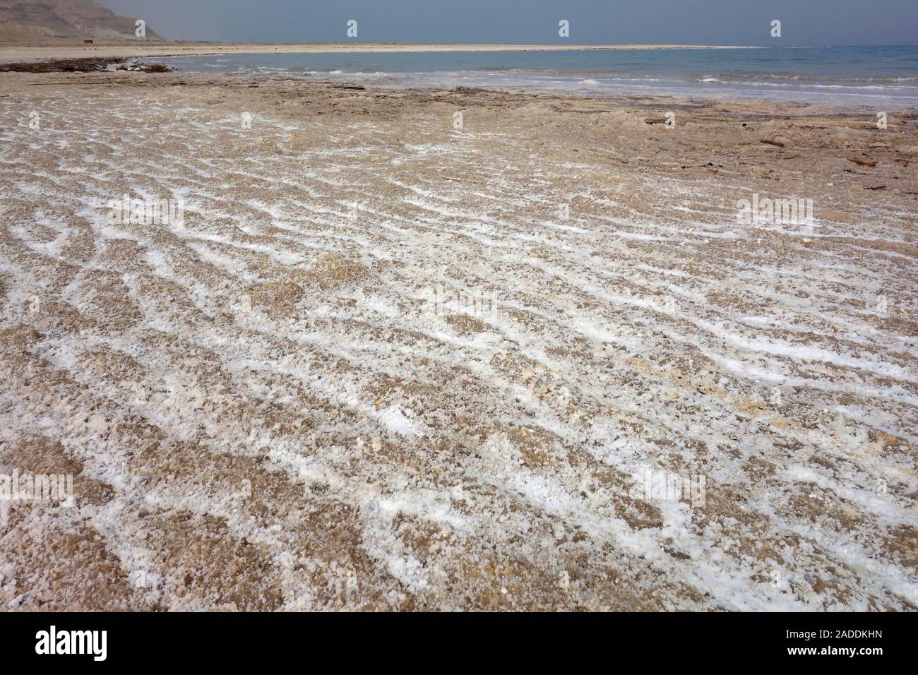 Salt deposits on the shore of the Dead Sea, Israel. The Dead Sea is a ...