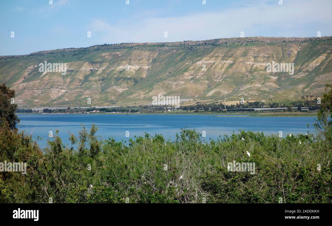 Sea of Galilee and the Golan Heights. The Sea of Galilee, also known as ...