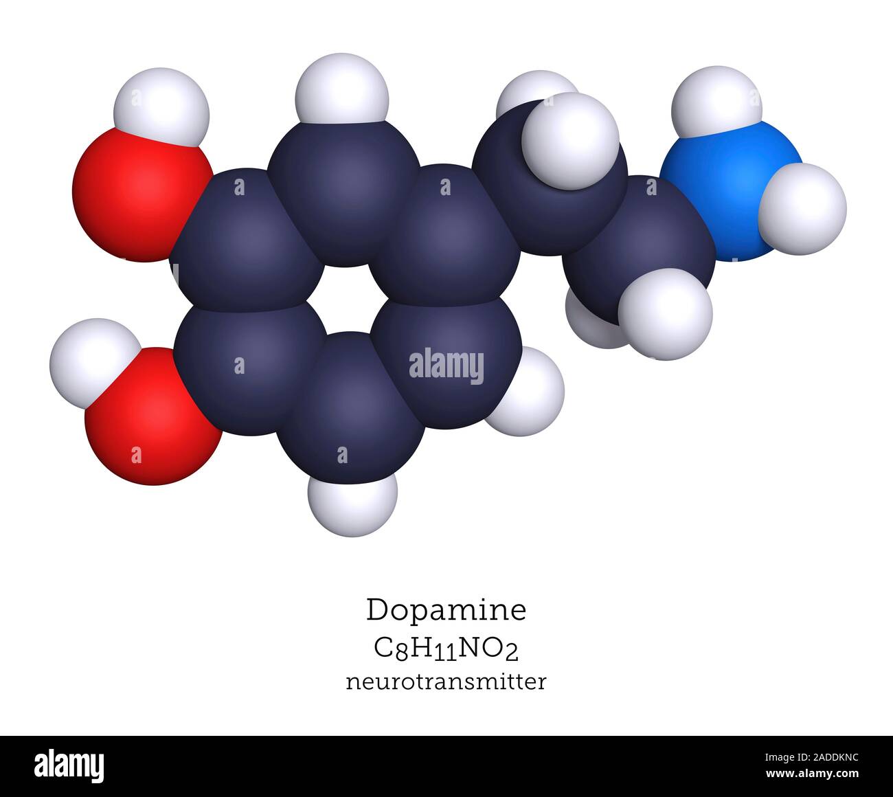 Dopamine is a neurotransmitter that modulates a wide range of ...