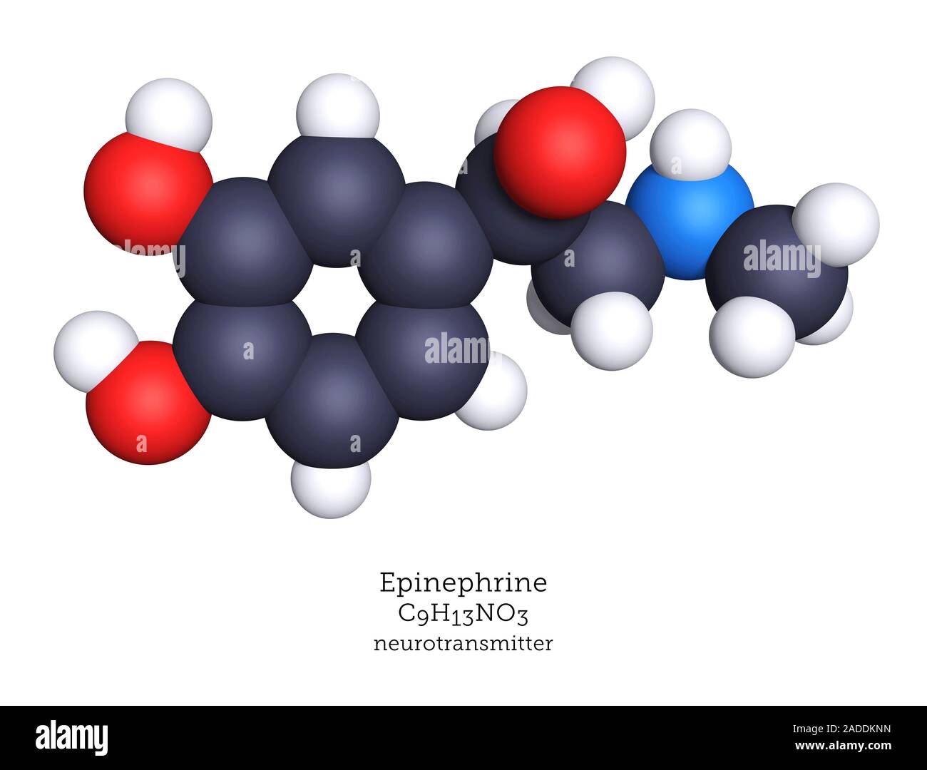 Epinephrine, also called adrenaline is both a hormone produced by the ...