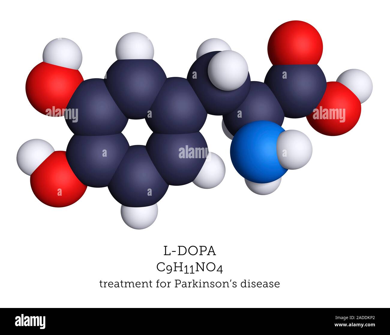 L-DOPA is an amino acid that occurs naturally in humans and a number of ...